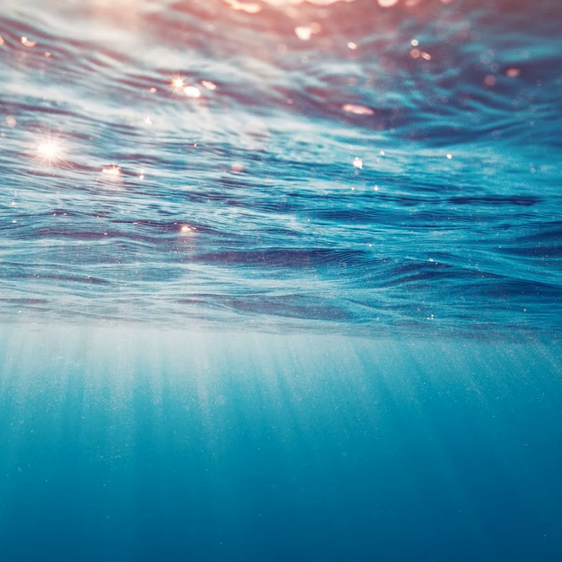 Insights | T. Rowe Price