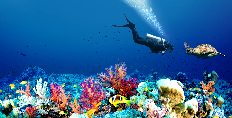 Global Impact Equity